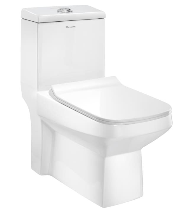Single Piece WC (C859946) | Parryware