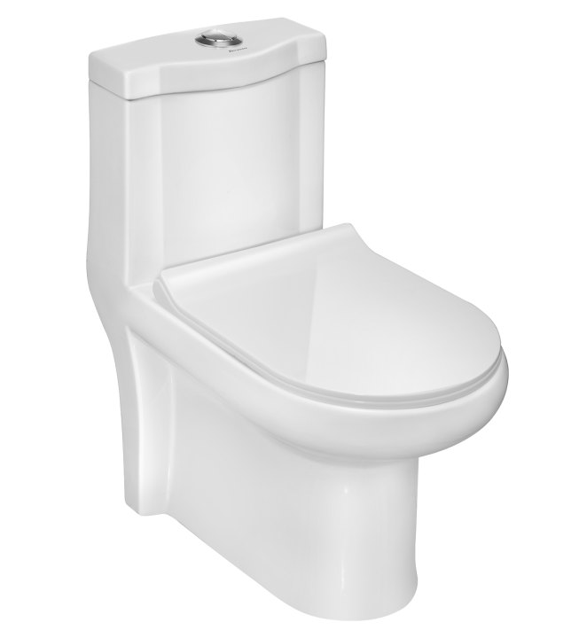 Rimless Single Piece WC (C896746) | Parryware