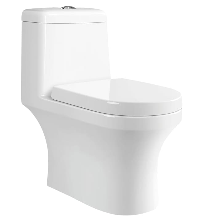 Rimless Single Piece WC (C891746) | Parryware