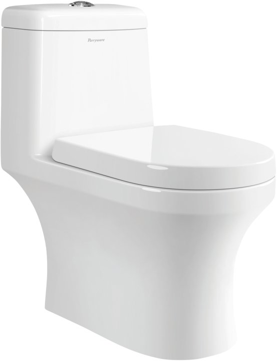 Rimless Single Piece WC (C899F46) | Parryware