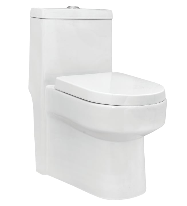 Rimless Single Piece WC (C891846) | Parryware