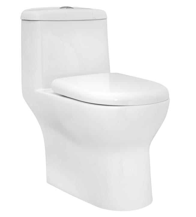 Rimless Single Piece WC (WPC899E46) | Parryware