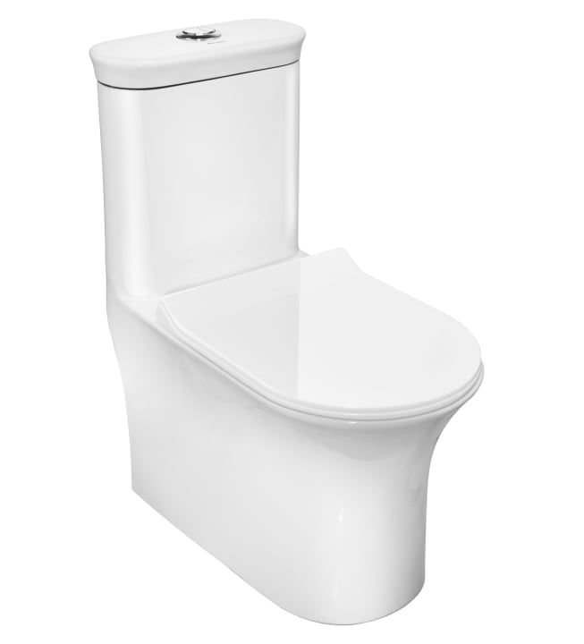 Rimless Single Piece WC (C899G46) | Parryware