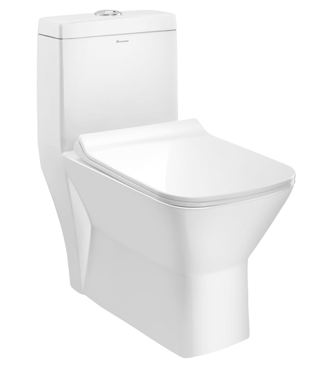 Single Piece WC (C859846) | Parryware