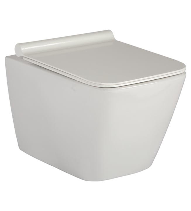 Rimless Wall Hung (C022U1C) | Parryware